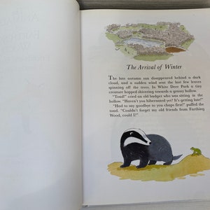 The Animals of Farthing Wood Friends & Enemies by Colin Dann ...