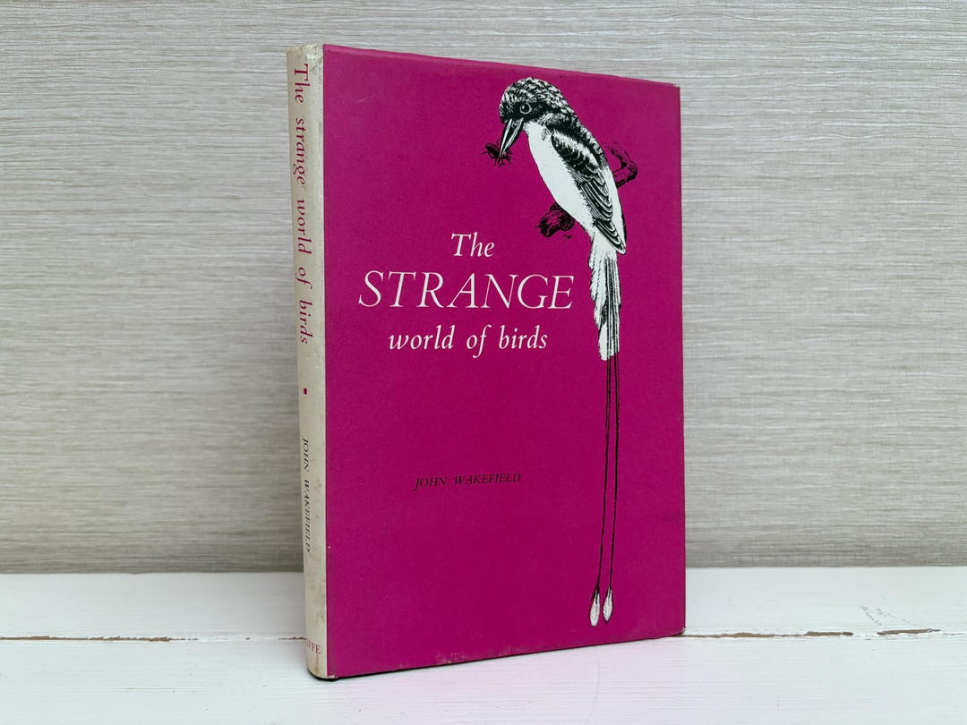 The Strange World of Birds Written & Illustrated by John Wakefield ...
