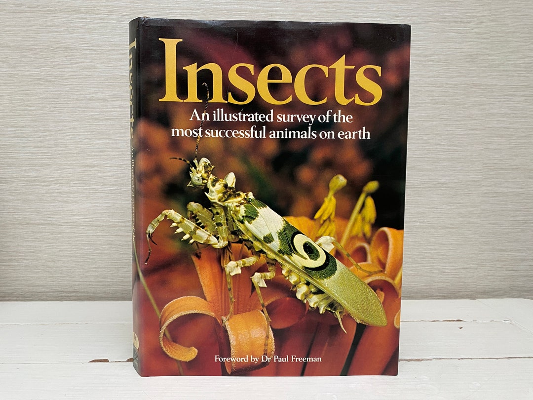 Insects: an Illustrated Survey of the Most Successful Animals on Earth ...