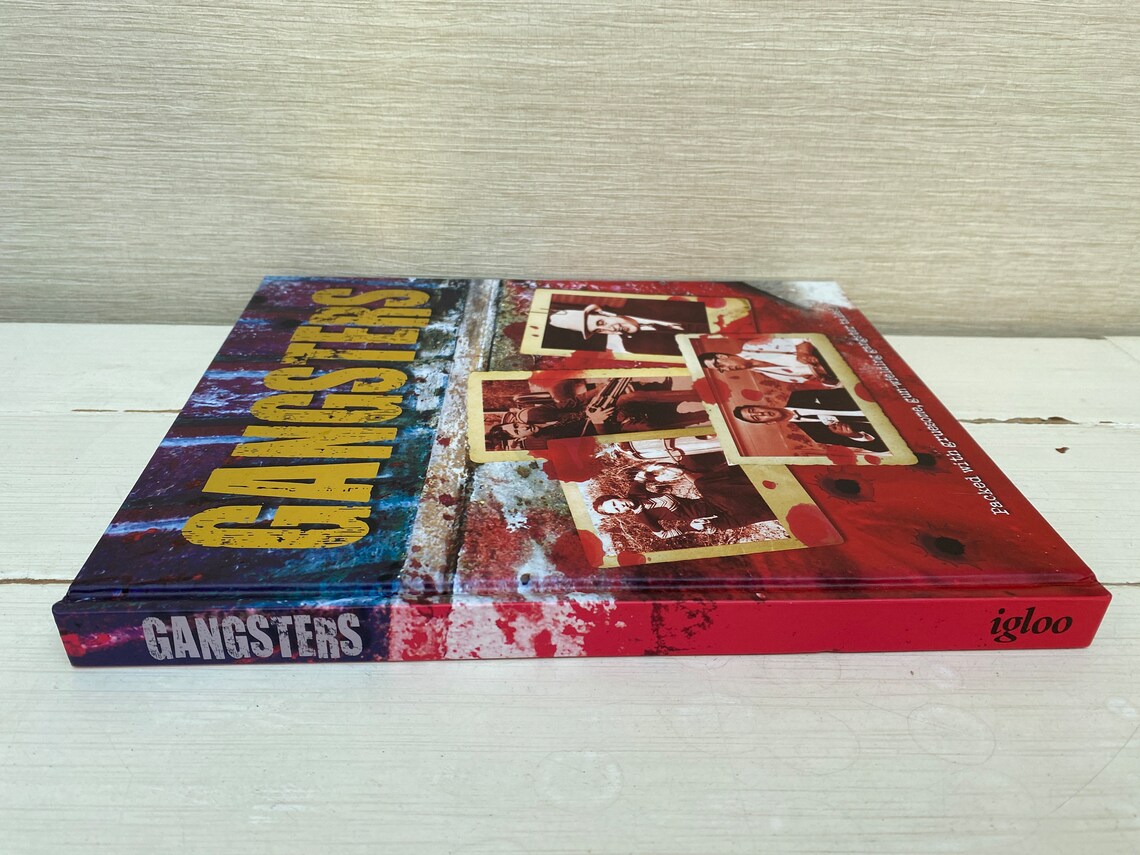 Gangsters - True Crimes Outside the Law - Igloo Books Hardback - Etsy