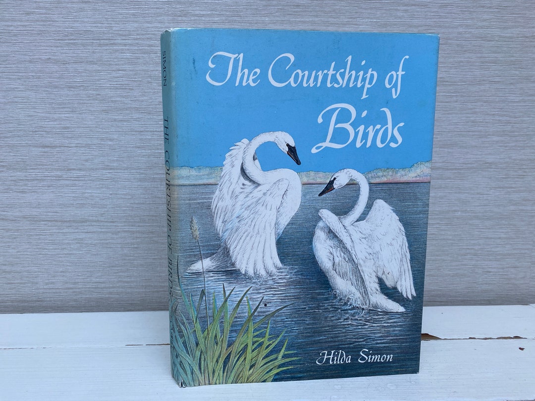 The Courtship of Birds by Hilda Simon Vintage Hardback Book 1977 First ...