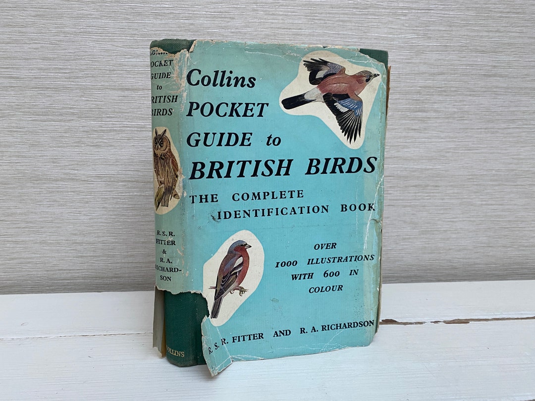 The Pocket Guide to British Birds by R Fitter 1952 Hardback Book ...
