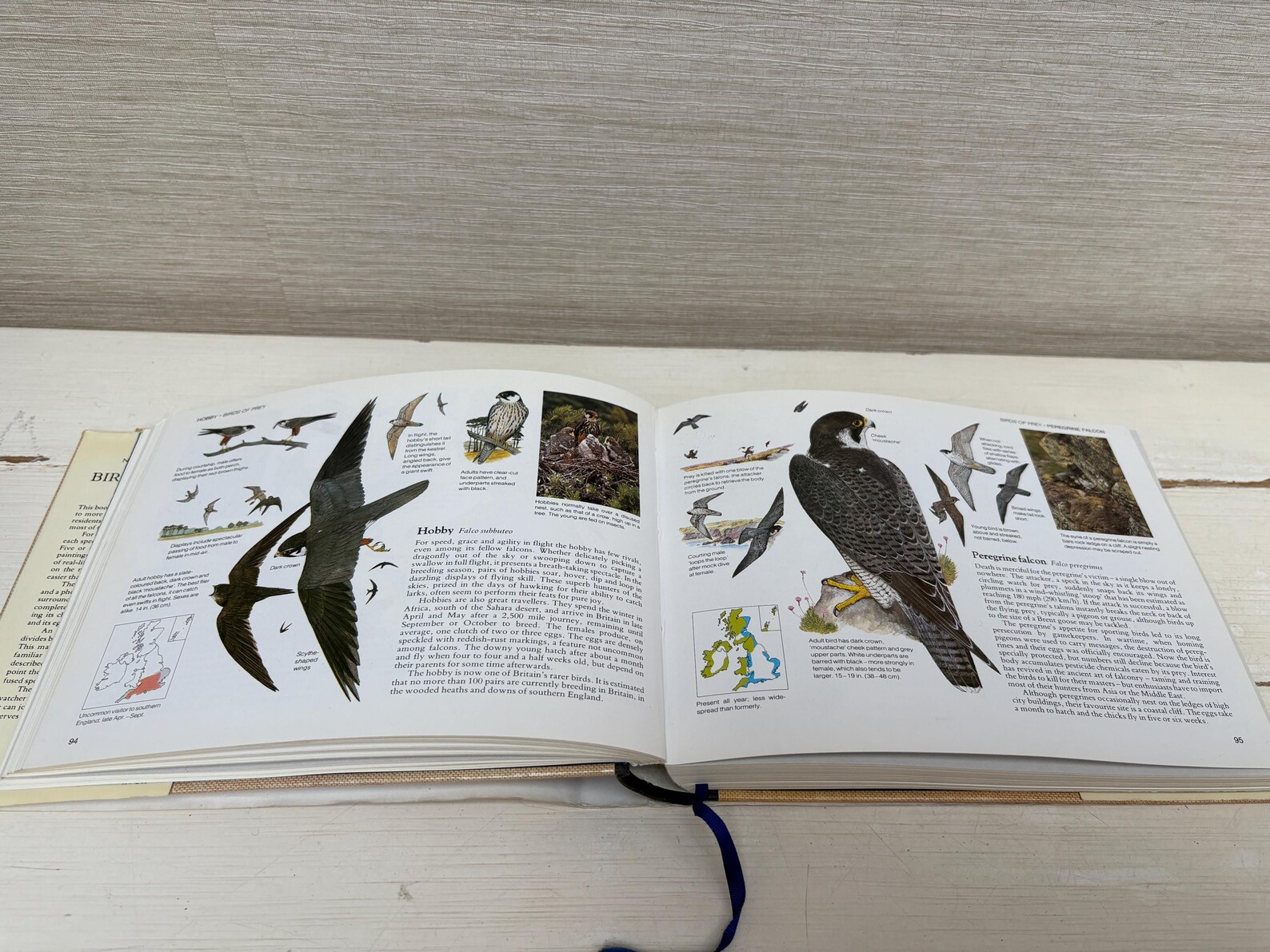 Field Guide to the Birds of Britain First Edition 1981 Hardback Book ...