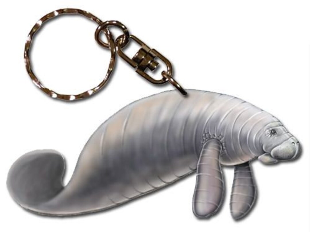 Manatee Keychain, Wooden Die-cut, Souvenir Key Holder, Bookbag Charm ...