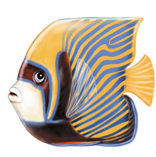 Fish Emperor Angelfish Magnet Wooden - Etsy