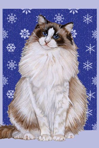 Ragdoll Cat Christmas Cards Set of 10 Cards & 10 Envelopes - Etsy