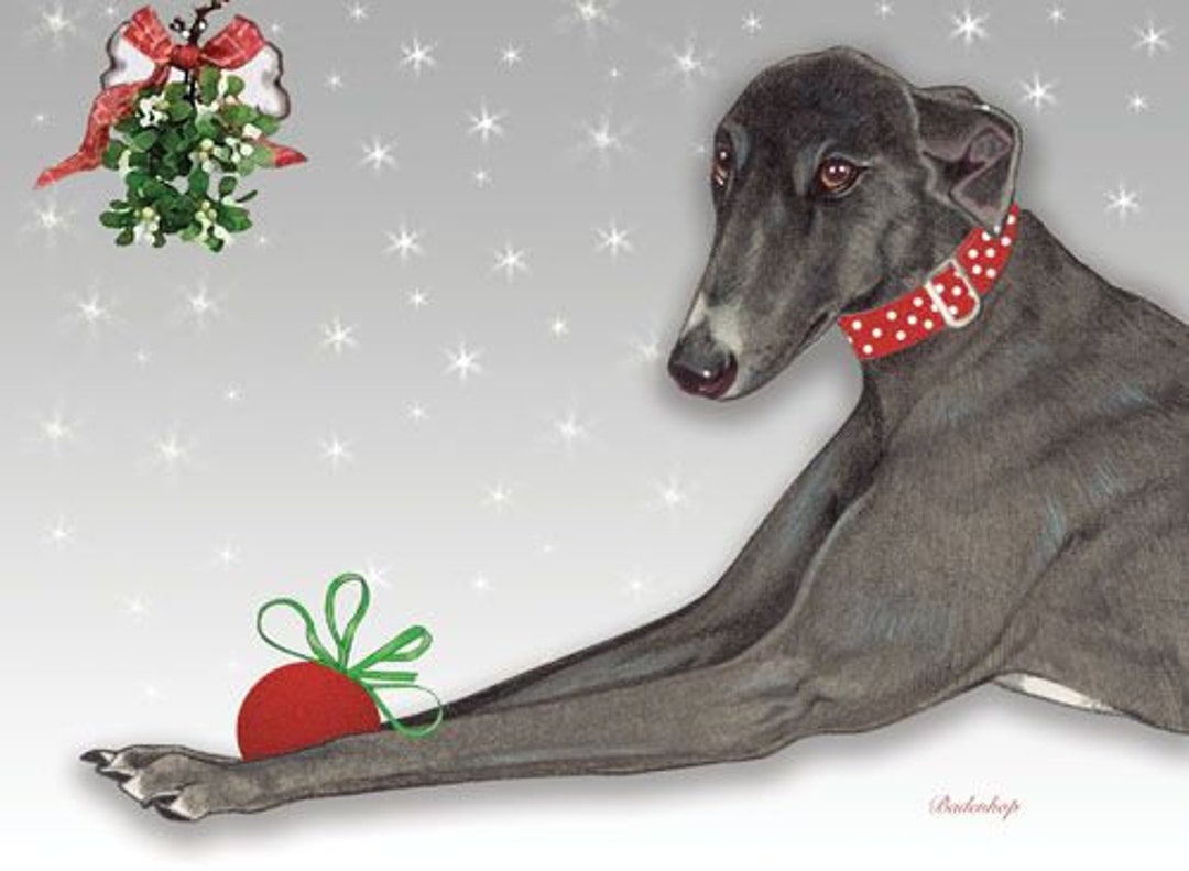 Greyhound Christmas Cards, Black Dog Holiday Set of 10 - Etsy