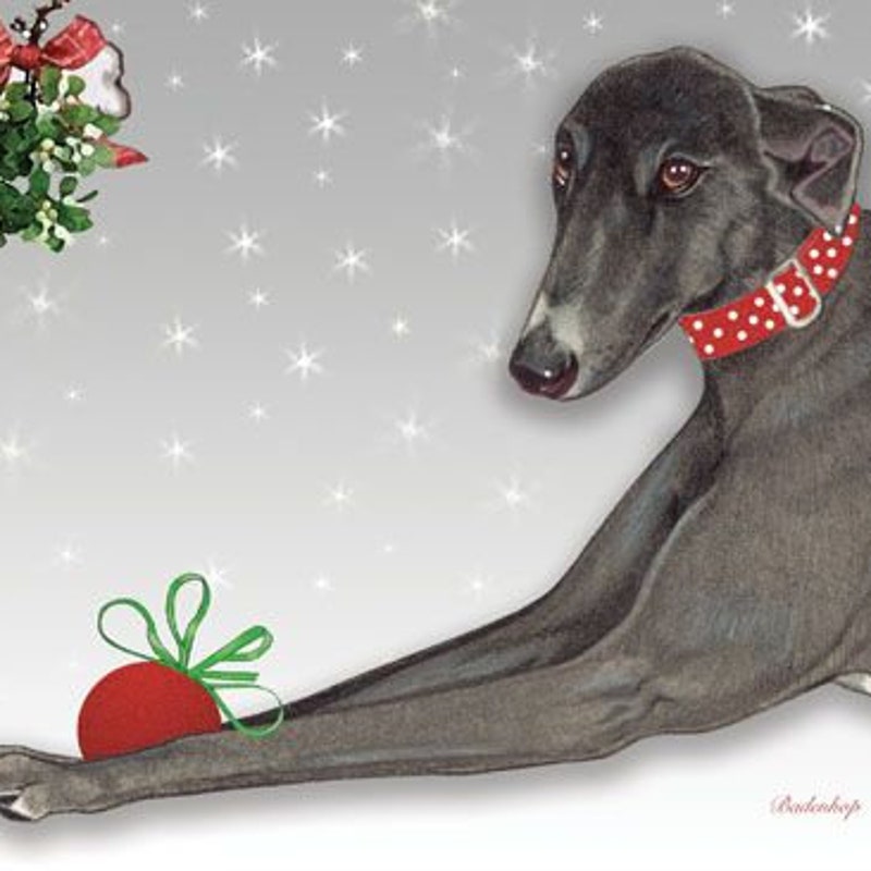 Greyhound Christmas Cards - Etsy