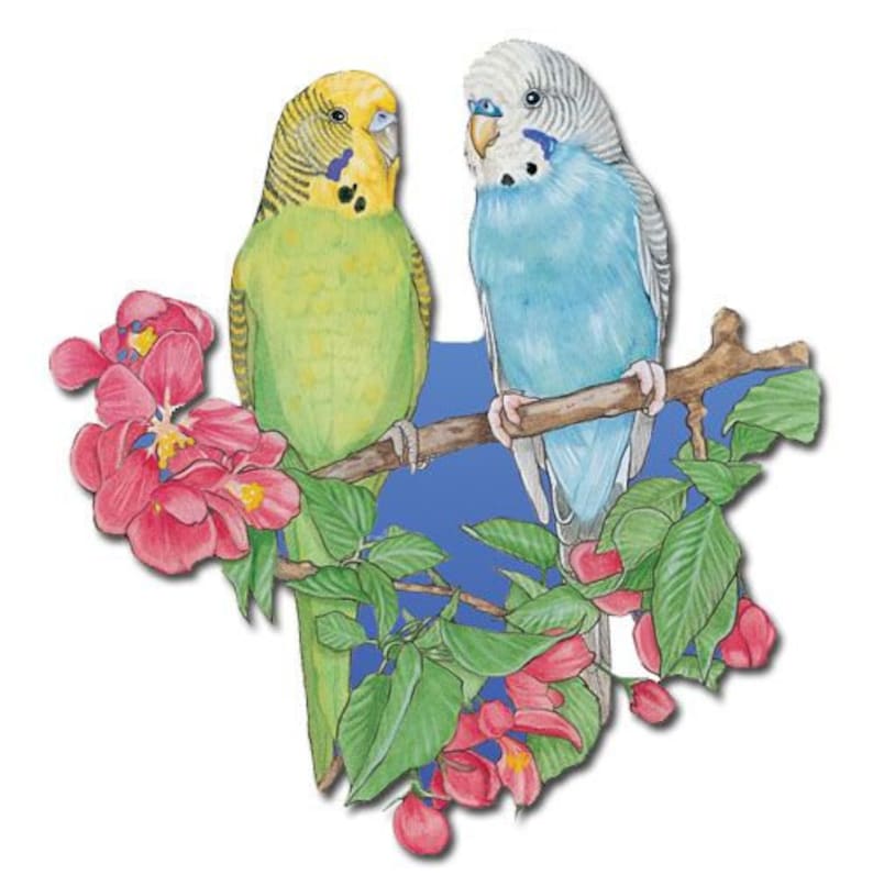 Parakeet Magnet, Original Watercolor Art, Bird Lover Gift - Etsy