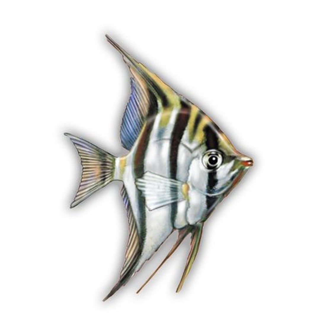 Fish Angelfish Magnet Wooden - Etsy