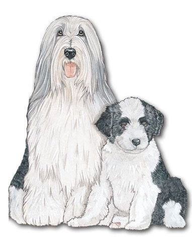 Bearded Collie Magnet Wooden - Etsy