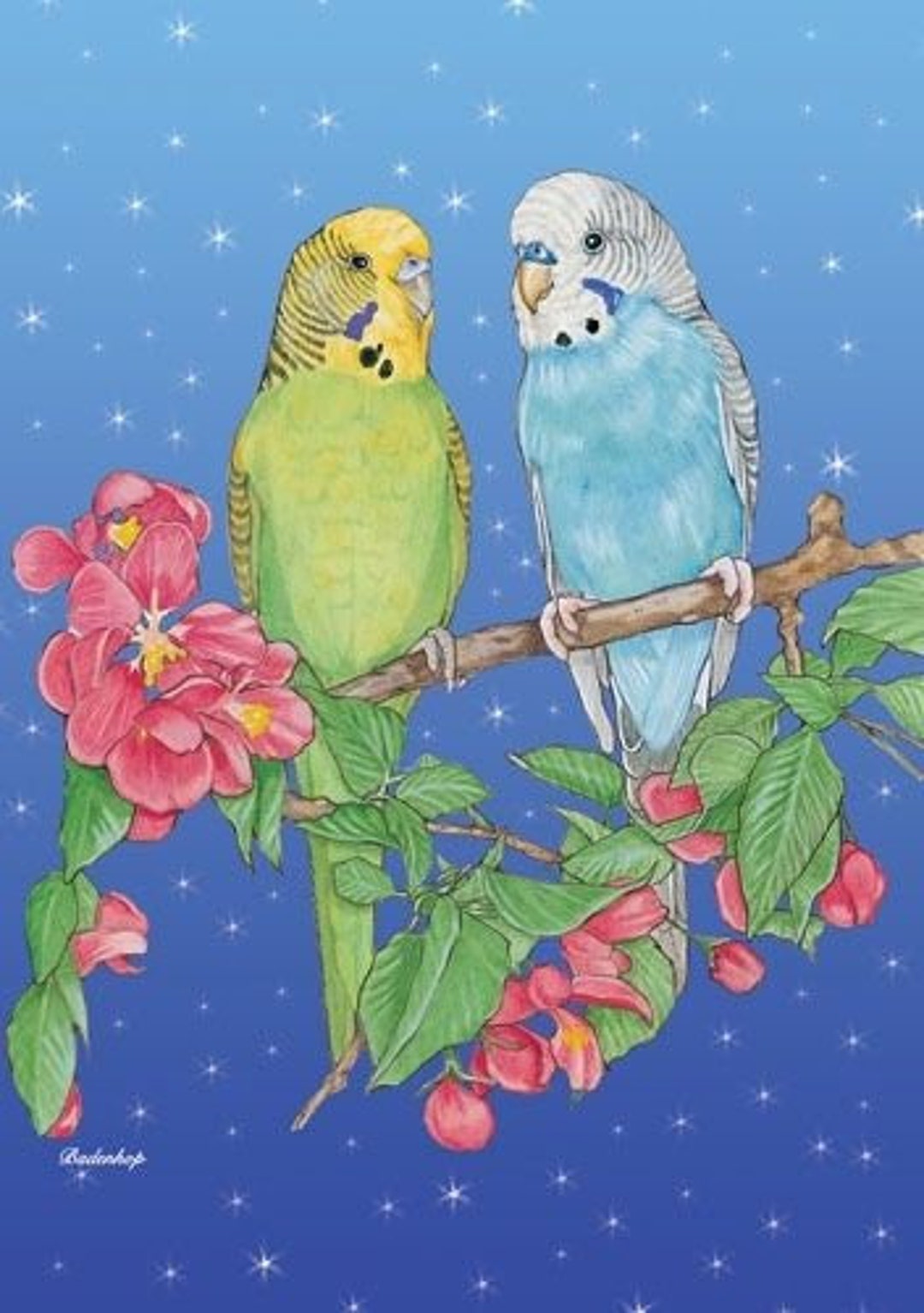 Parakeet Budgie Parrot Christmas Cards Set of 10 Cards & 10 Envelopes ...
