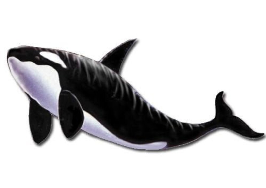 Orca Whale Magnet Wooden - Etsy