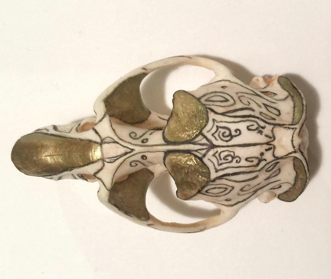 Skull Hair Clip, Skull Jewelry, Hair Accessories, Taxidermy, Gothic ...