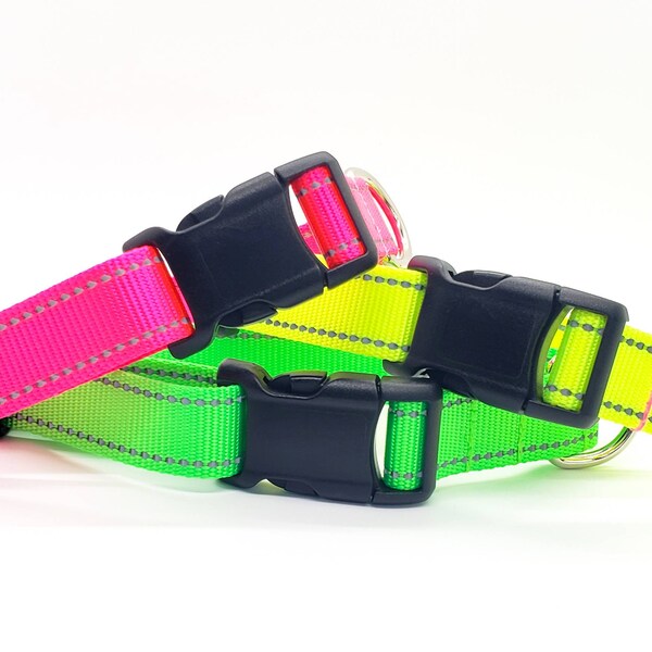Neon Dog Collar - Etsy