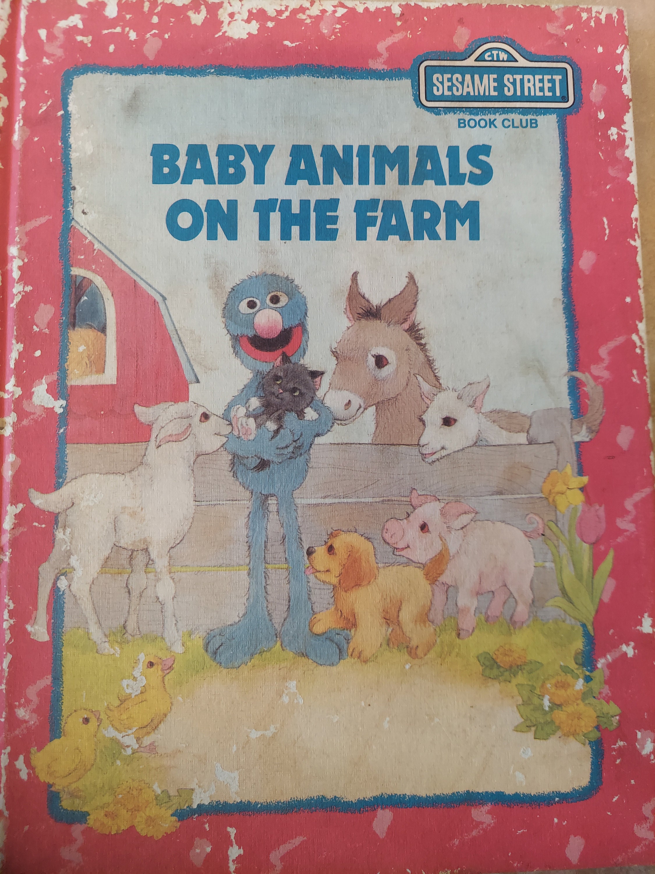 Sesame Street Childrens Book - Etsy