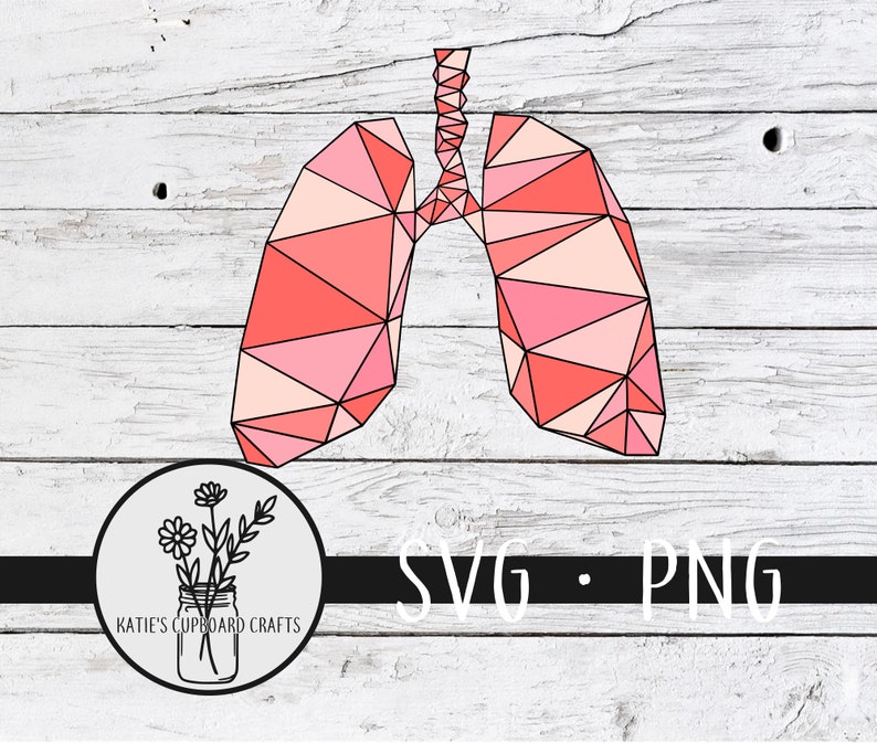 Geometric Lungs; Respiratory System - SVG Cut File - Etsy