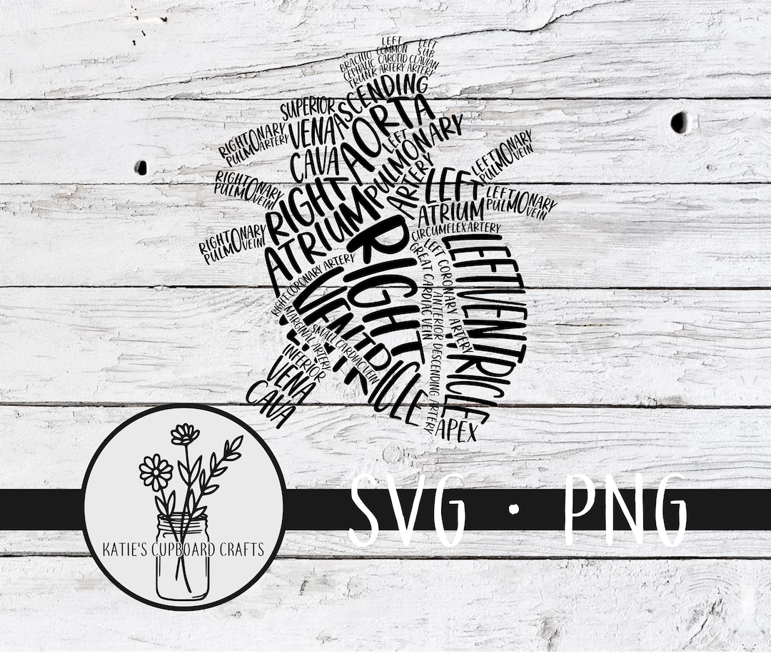 Anatomy of the Heart; Anatomical Heart; Cardiology - SVG Cut File - Etsy