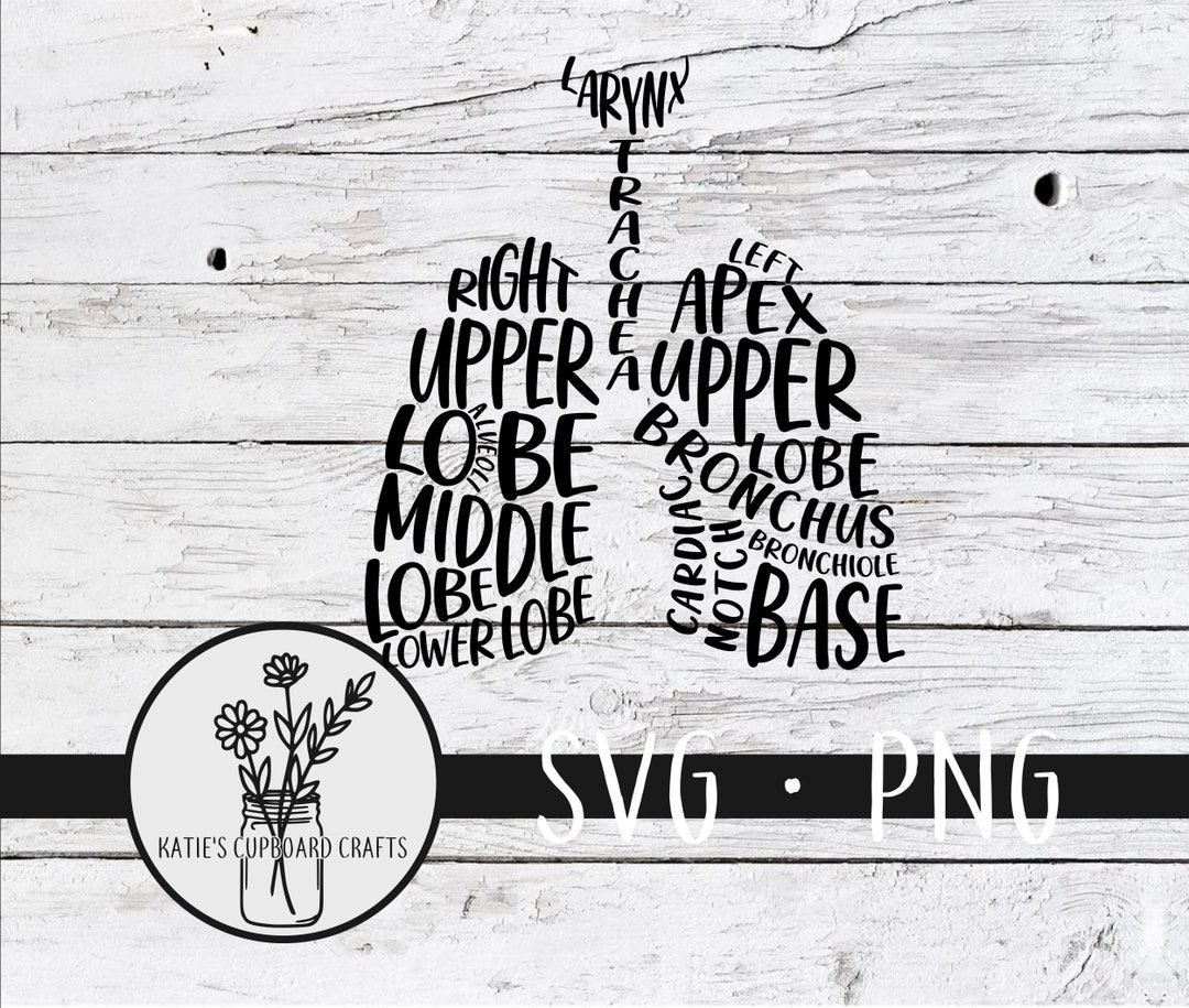 Anatomy of the Respiratory System - SVG Cut File - Etsy