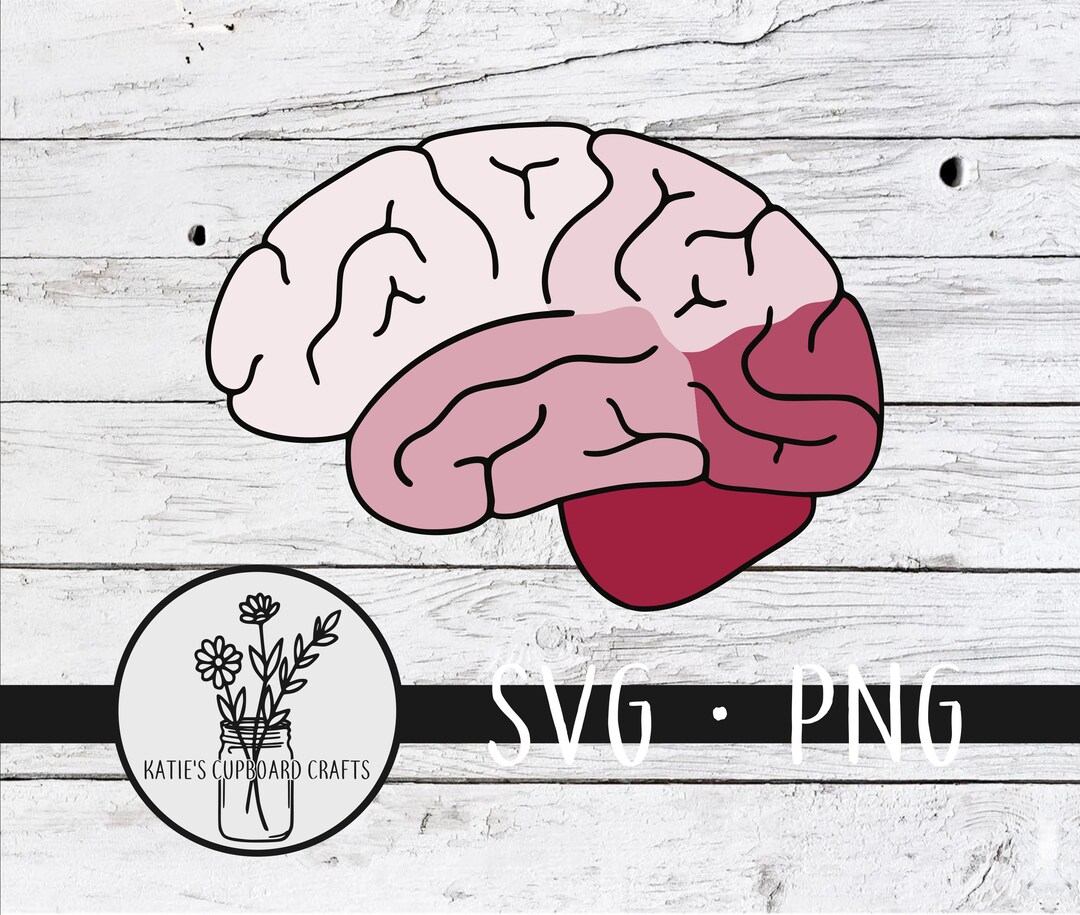 Areas of the Brain - SVG Cut File - Etsy