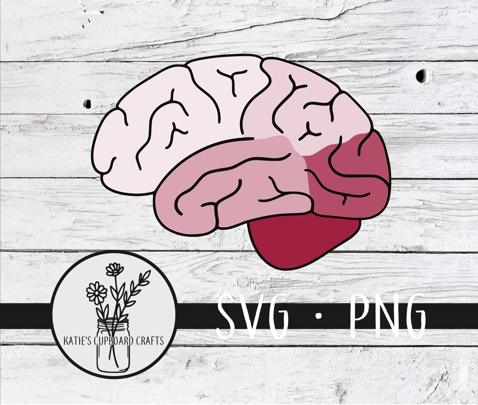 Areas of the Brain SVG Cut File | Etsy