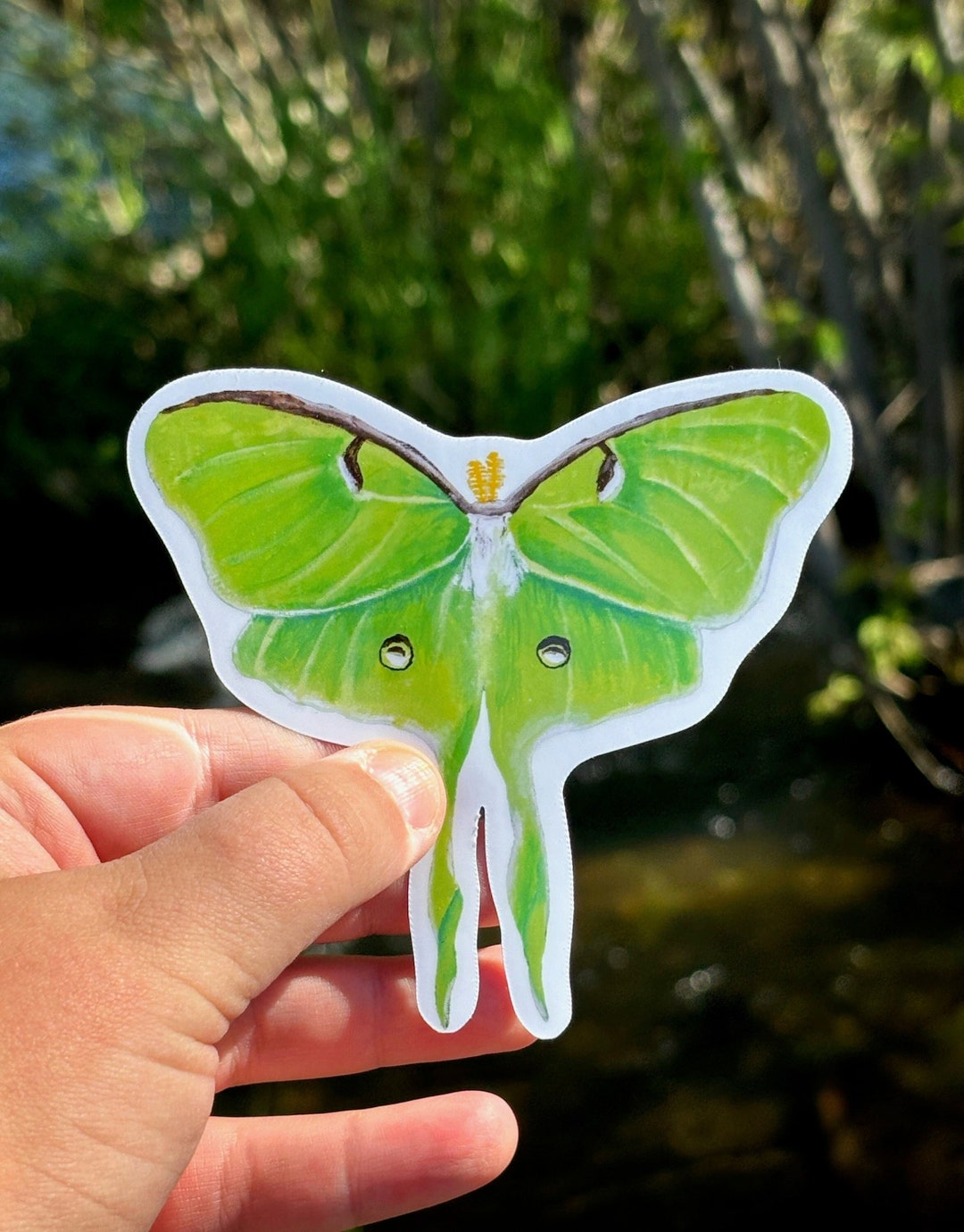 Watercolor Luna Moth Waterproof Sticker - Etsy