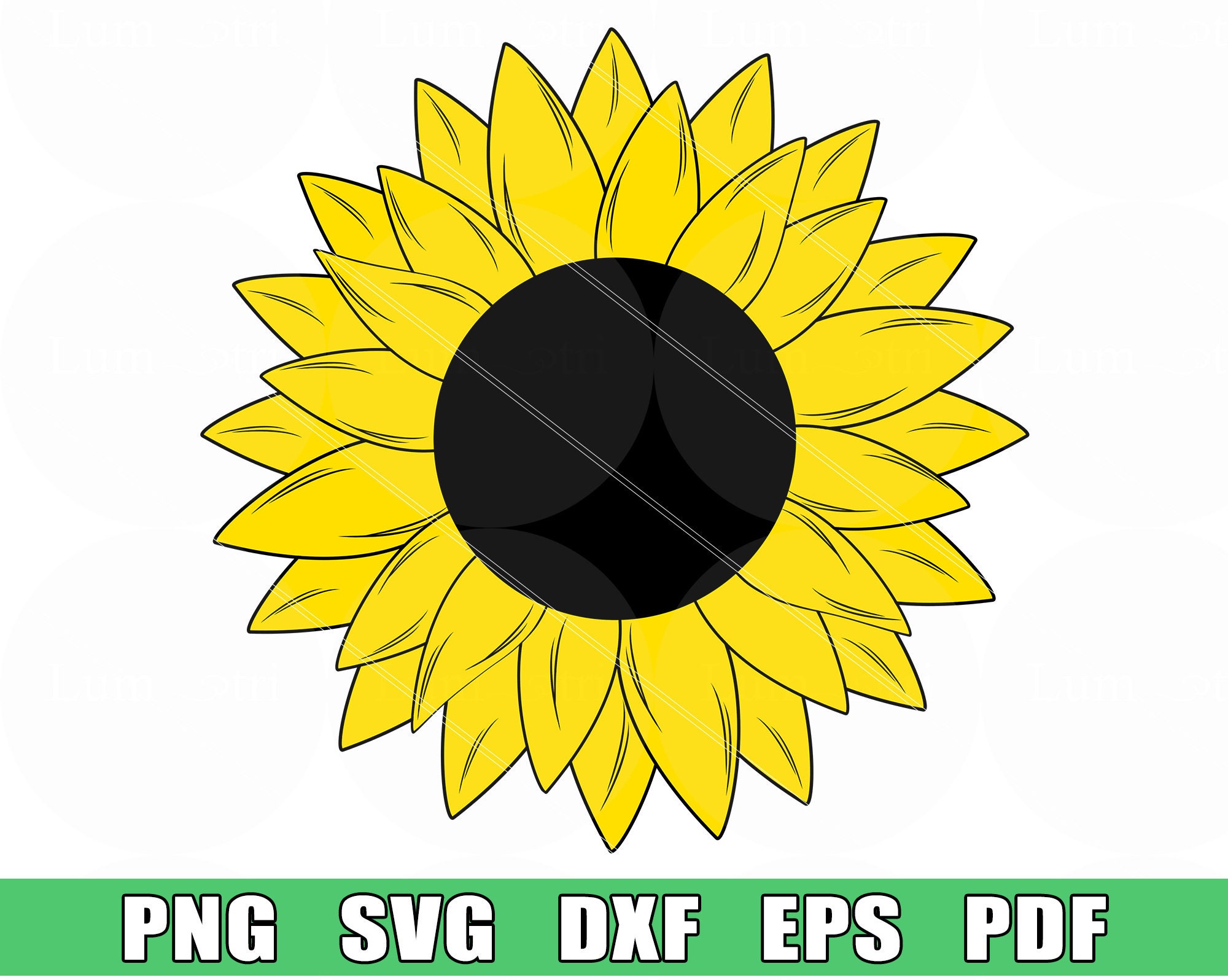 Sunflowers Svg Sunflower Svg Sunflower Png Flower Svg - Etsy