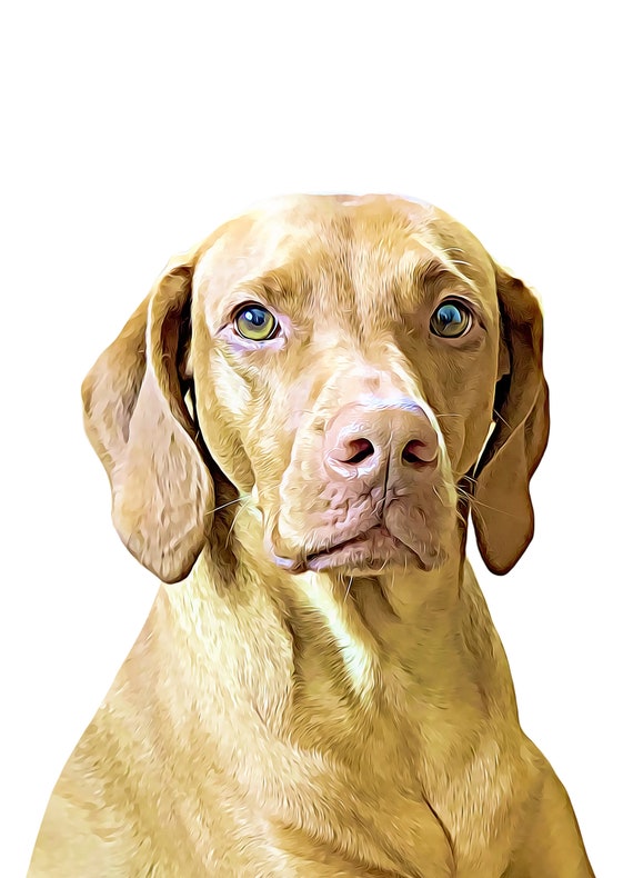 Hunting dog portrait. Custom pet portrait canvas custom dog | Etsy