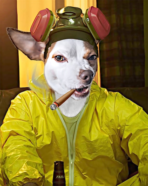 Doge Breaking Bad