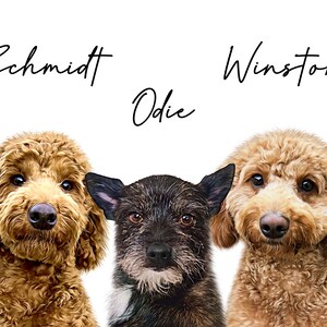 3 Pet Portrait Multiple Pets, Multiple Pet Portrait, Customized Pet ...