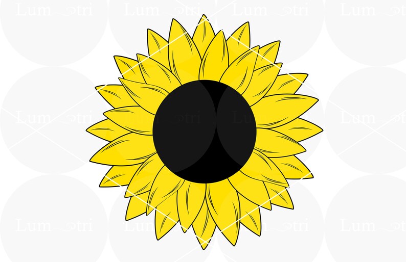 Sunflowers Svg Sunflower Png Sunflower Svg Autumn Svg | Etsy