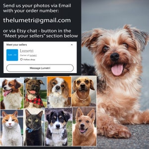 3 Pet Portrait Multiple Pets, Multiple Pet Portrait, Customized Pet ...
