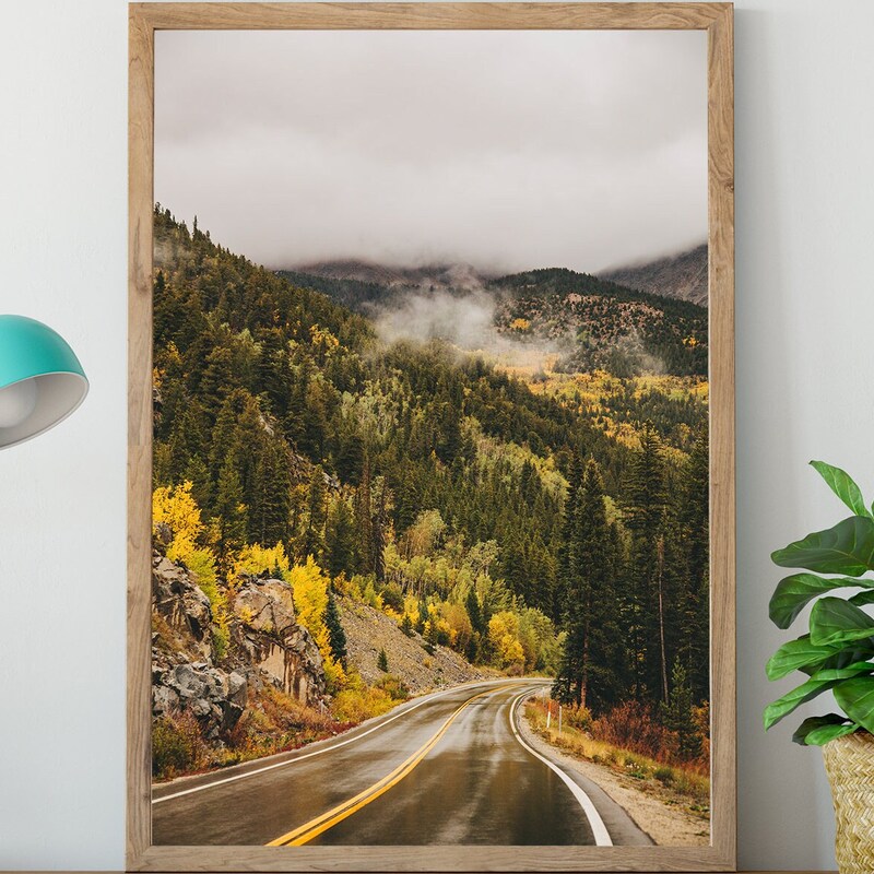 AmyMortonPhoto - Etsy