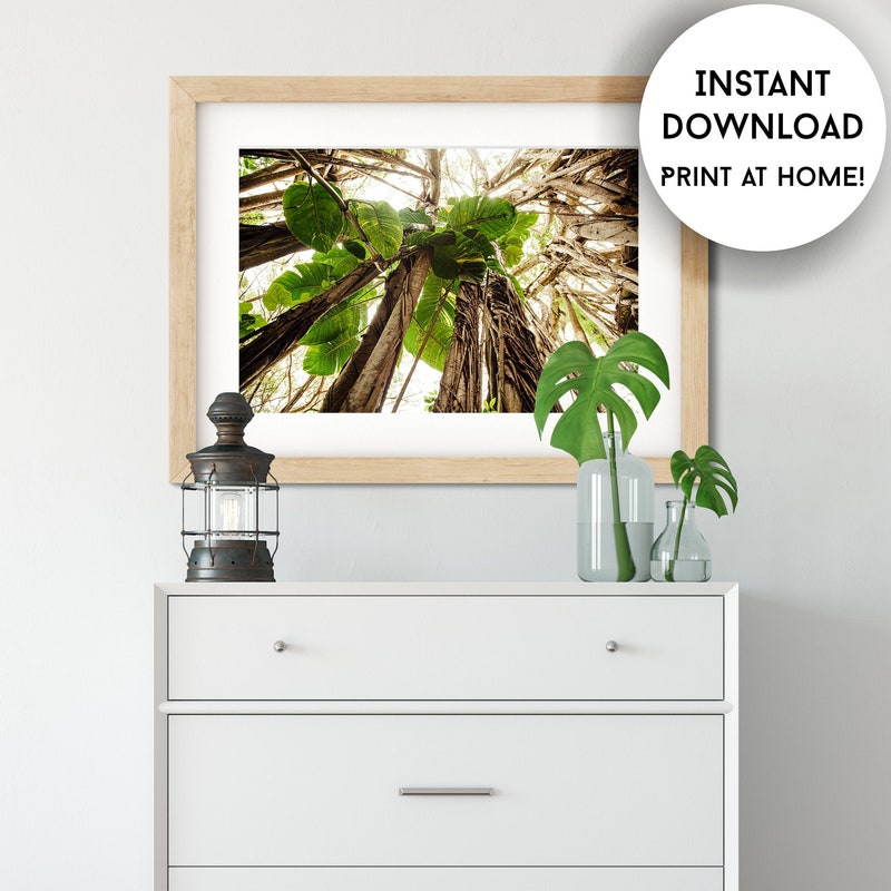 Surf Shack Decor - Etsy