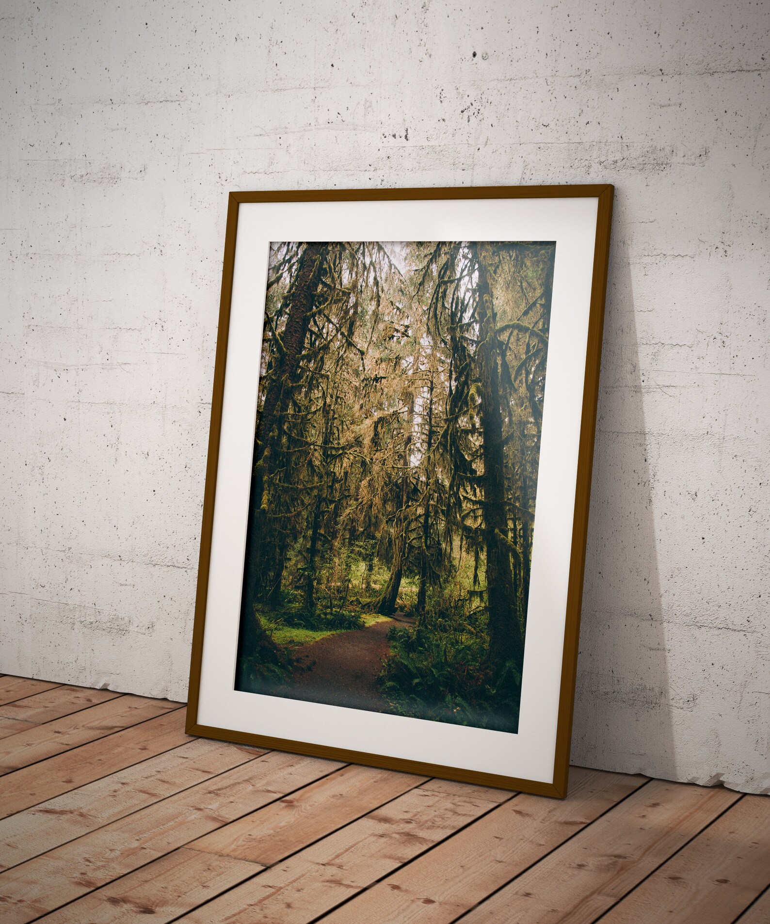 Hoh Rainforest Printable Wall Art, Pacific Northwest Print, Olympic ...