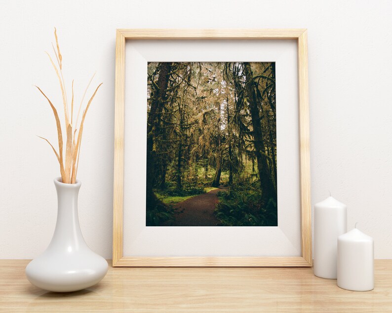 Hoh Rainforest Printable Wall Art, Pacific Northwest Print, Olympic ...