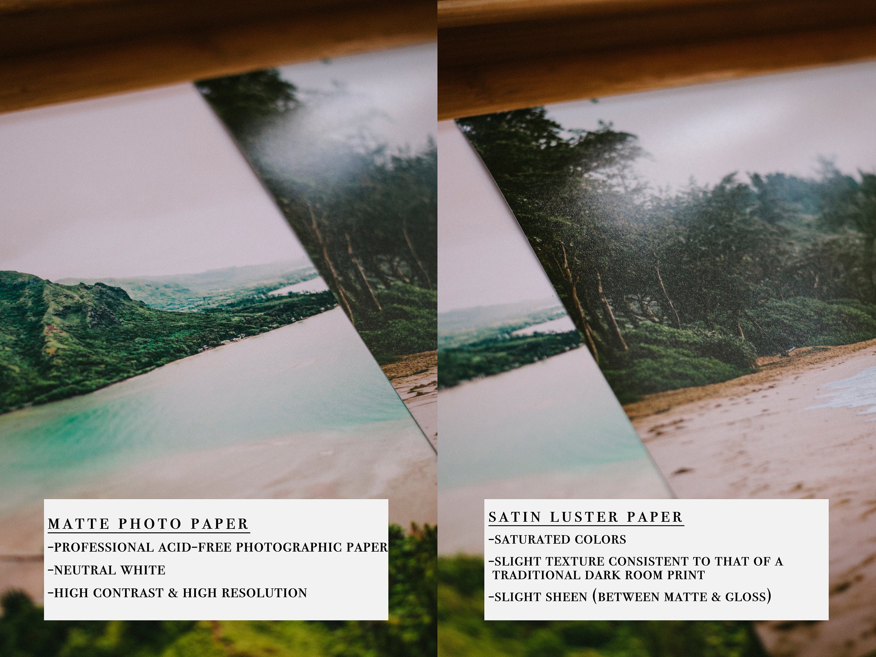 Hoh Rainforest Photo Print, Pacific Northwest Wall Art, Olympic ...