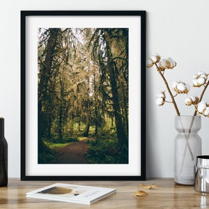 Hoh Rainforest Photo Print, Pacific Northwest Wall Art, Olympic ...