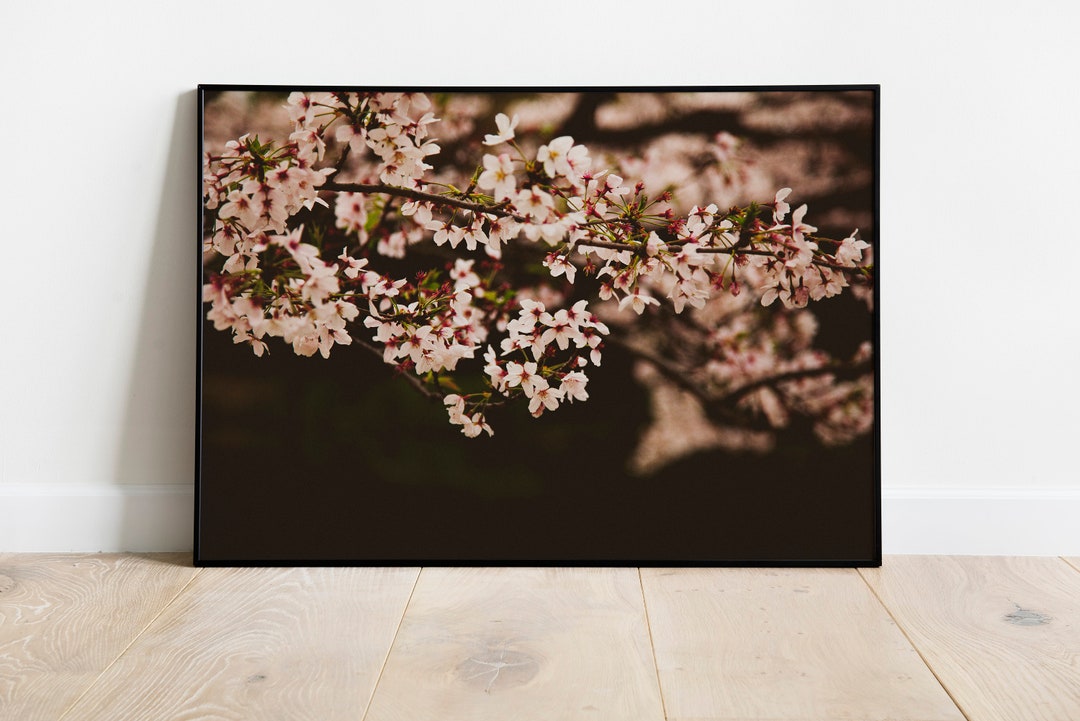 Cherry Blossom Tree Photo Print, Pink Japanese Sakura Art, Tokyo, Japan ...