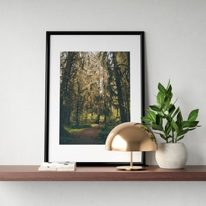 Hoh Rainforest Photo Print, Pacific Northwest Wall Art, Olympic ...