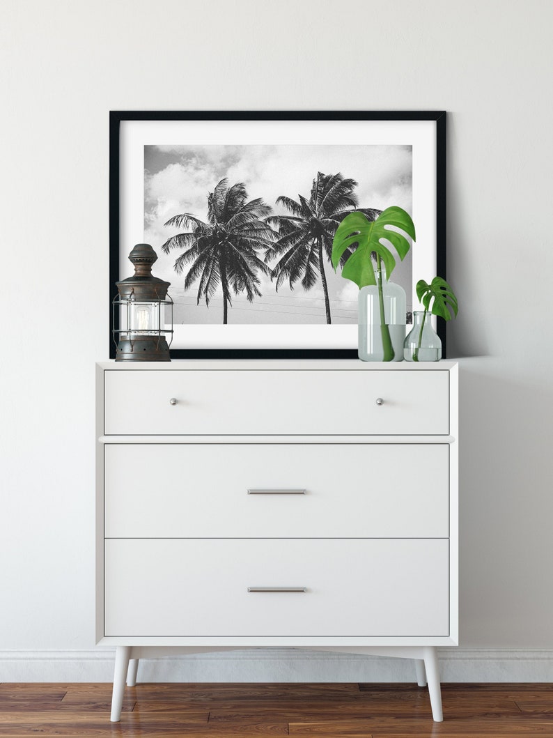 Black And White Palm Trees Print Tropical Wall Art Beach Decor Etsy