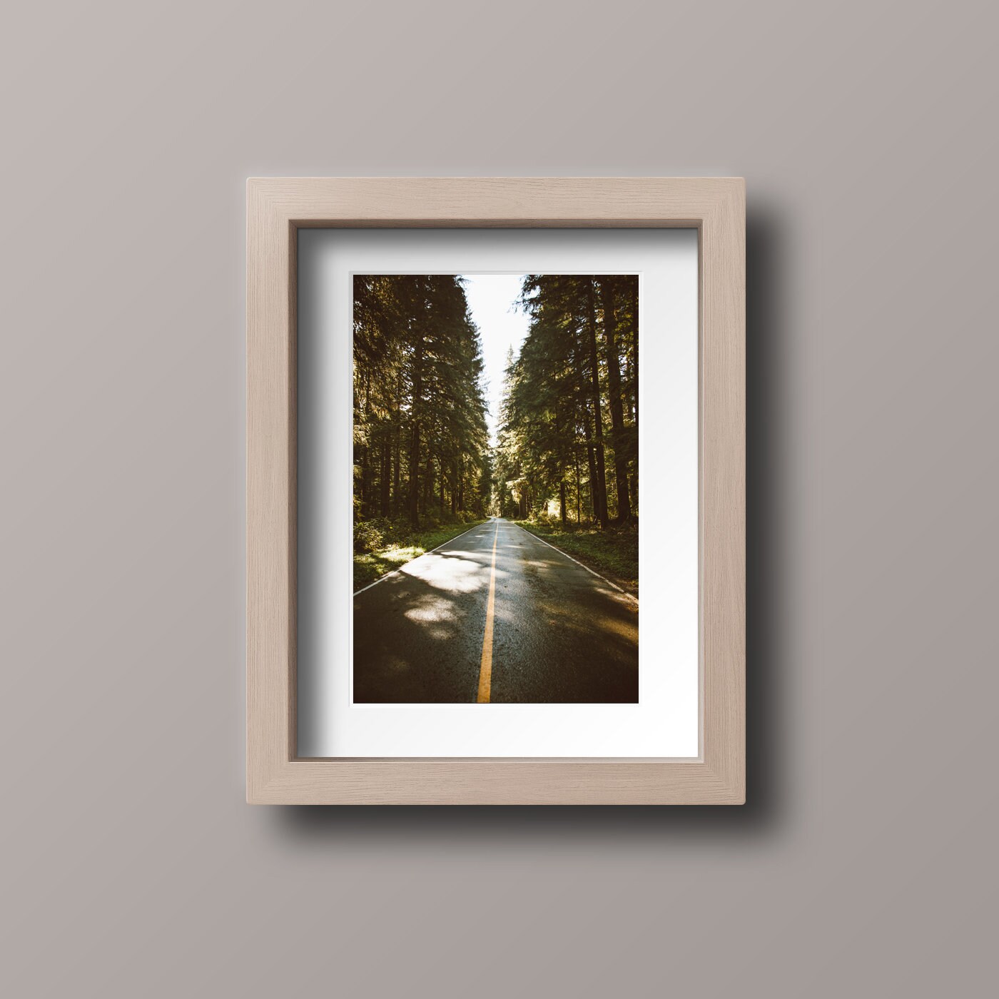 Forest Tree Lined Road Wall Art Print Washington Olympic | Etsy