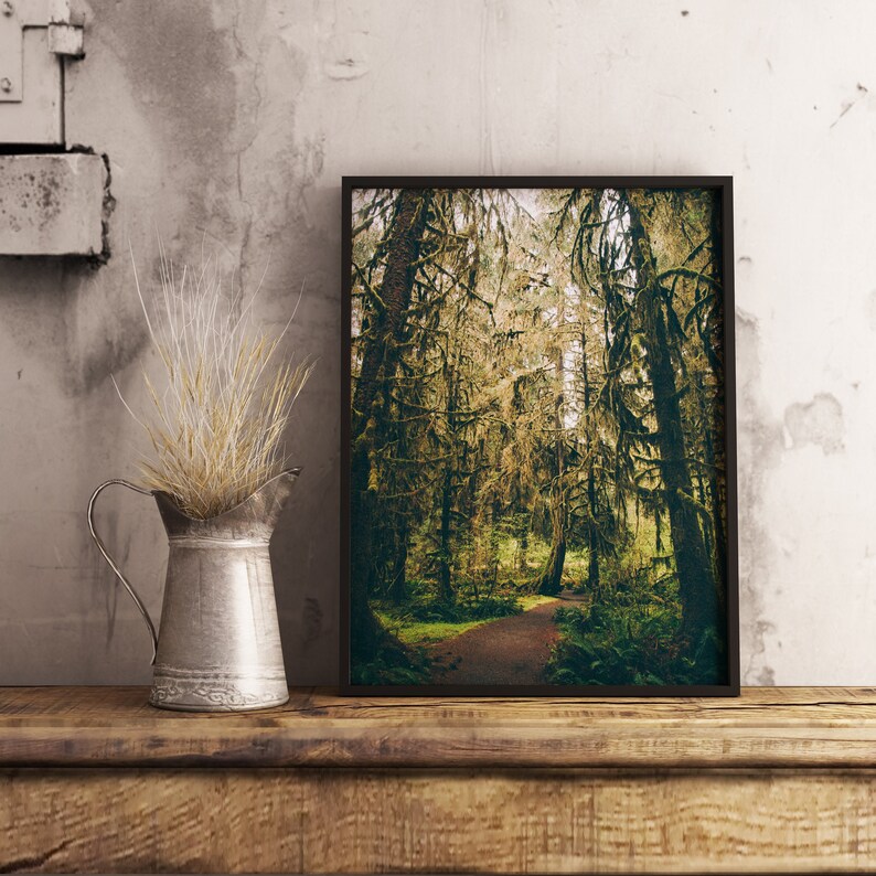 Hoh Rainforest Printable Wall Art, Pacific Northwest Print, Olympic ...