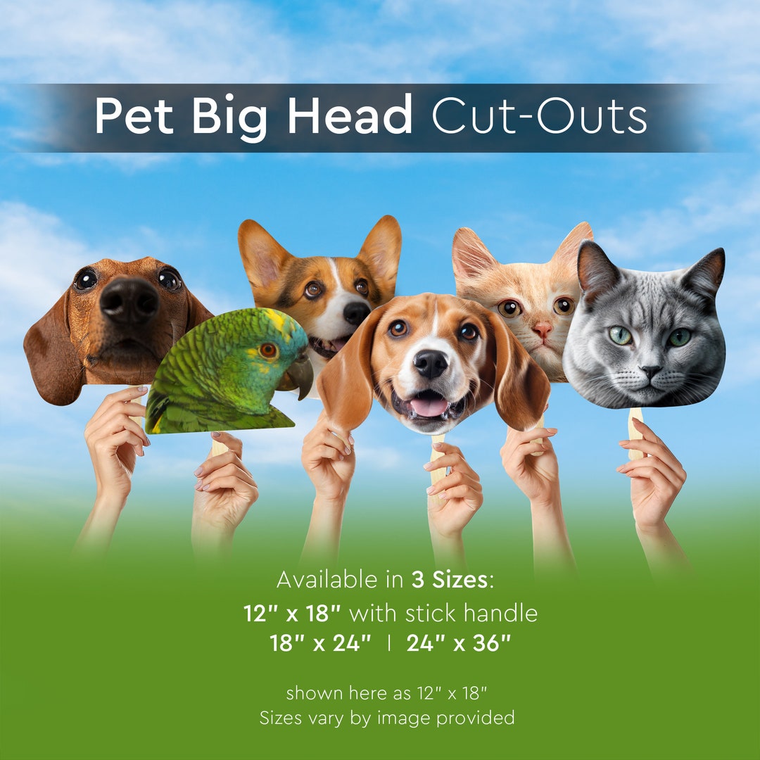 Pet Big Head Cutouts, Pet on A Stick | Printed | Birthdays, Pet Party ...