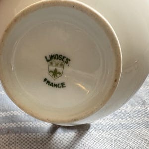 Limoges France Vintage Dinnerware Set - Etsy