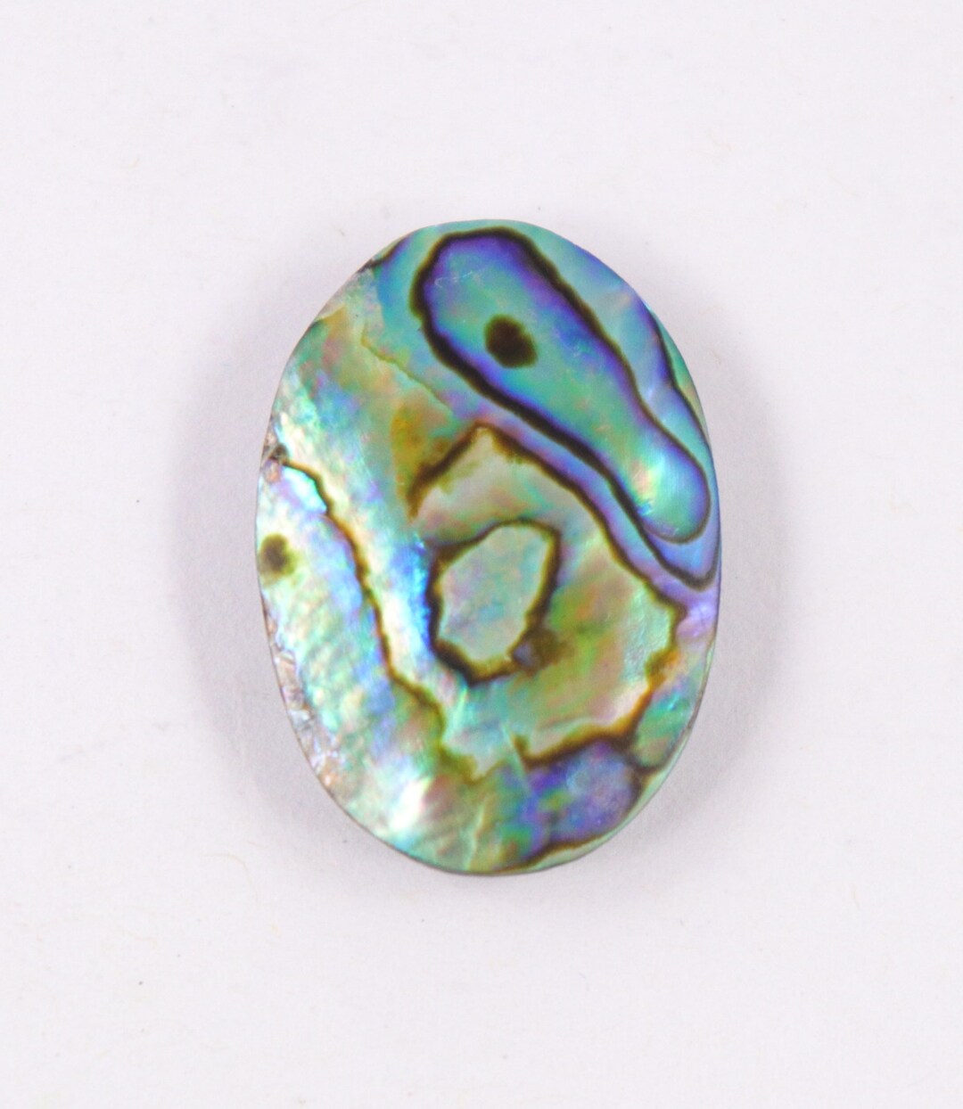 Rare Abalone Shell, Natural Abalone Shell Gemstone, Abalone Shell for ...