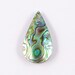 Designer Abalone Shell Natural Abalone Shell Gemstone Top - Etsy