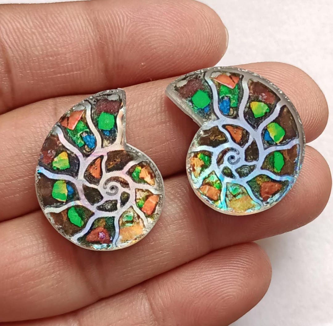 Ammonite Fossil Gemstone Pair: Lab-created Quartz Cabochons (28x22 Mm ...