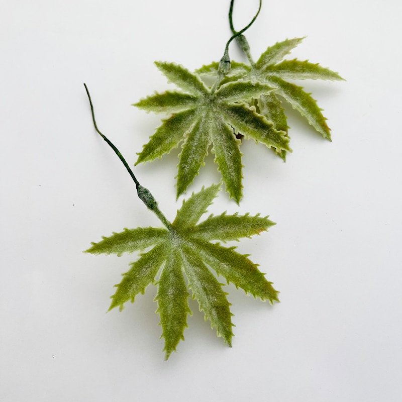 Fake Marijuana Plant - Etsy