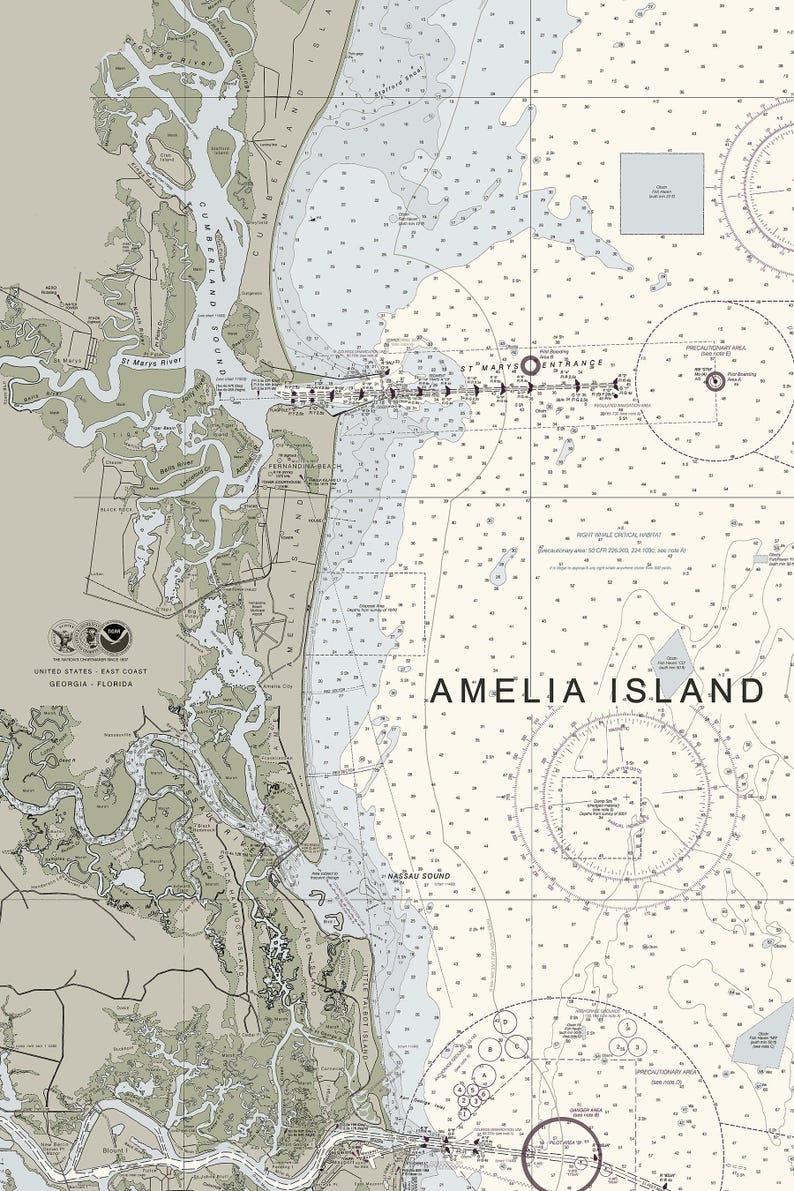 Amelia Island Nautical Chart Art - Etsy